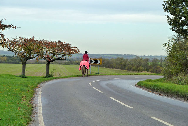 I Am Only A Happy Hacker - Haynet